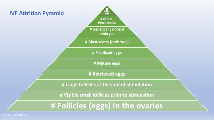 Your Complete IVF Checklist